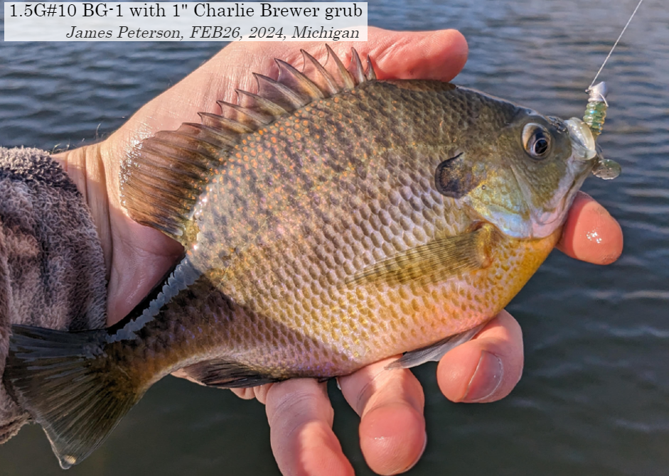 The i_fish Tackle Store